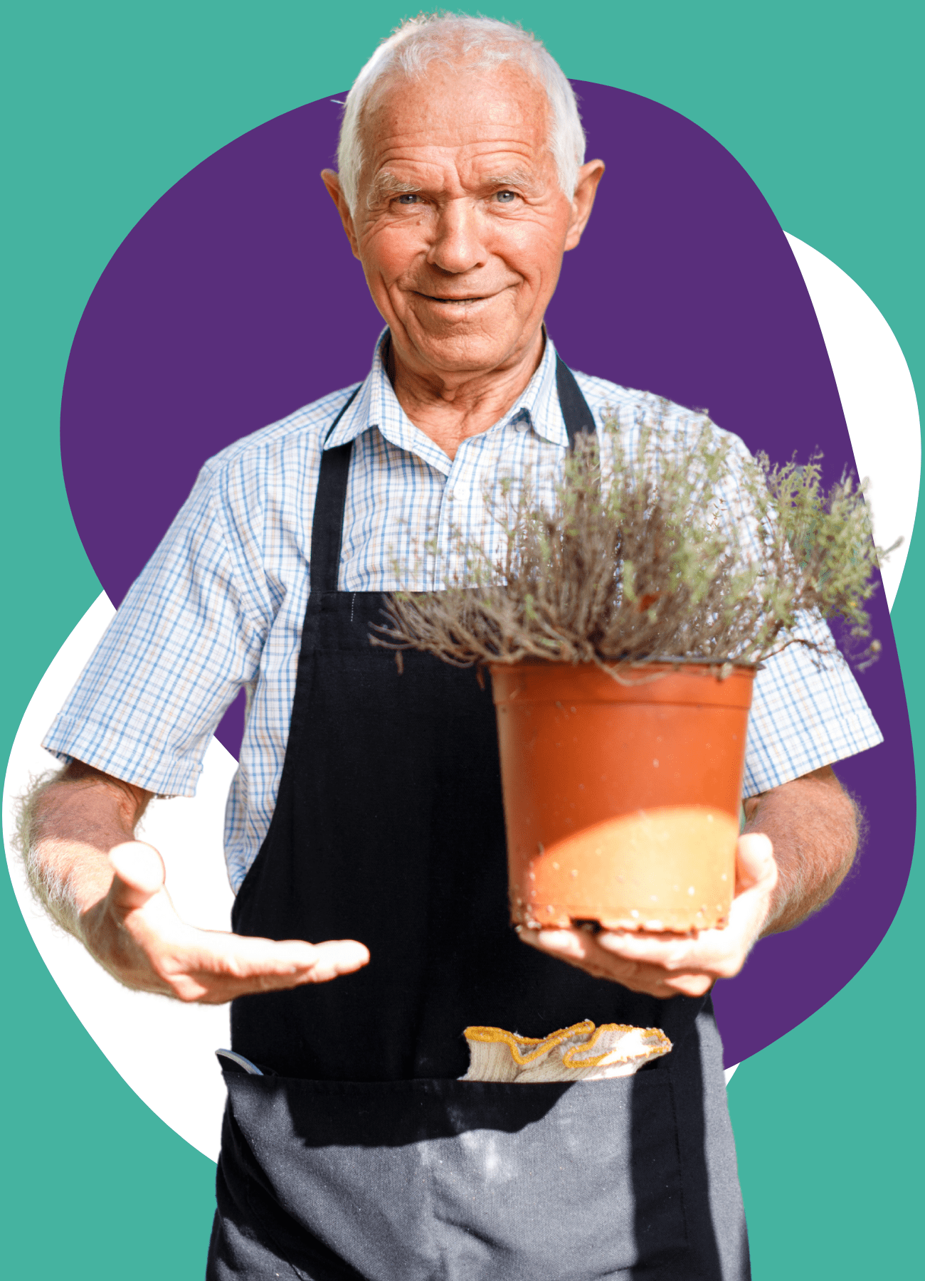 Contact Us | OrthoWrist | Mr Shahrier Sarker